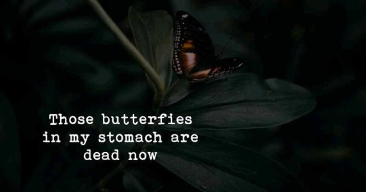 Dead Butterflies - LetterPile