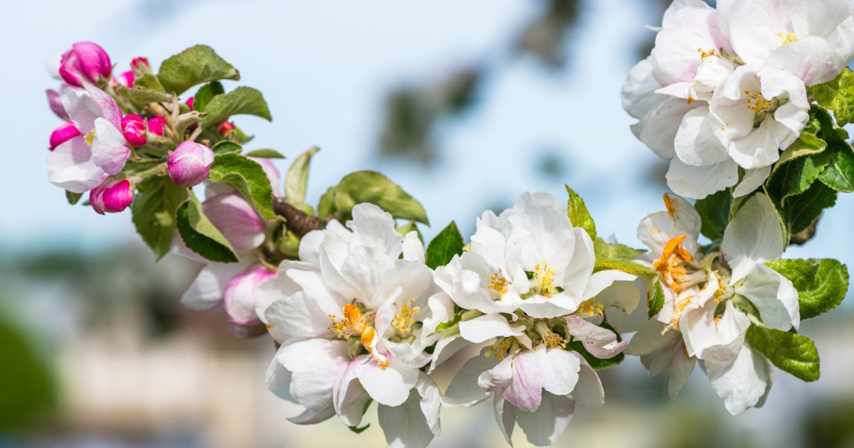 It's My Very First Poem - LetterPile