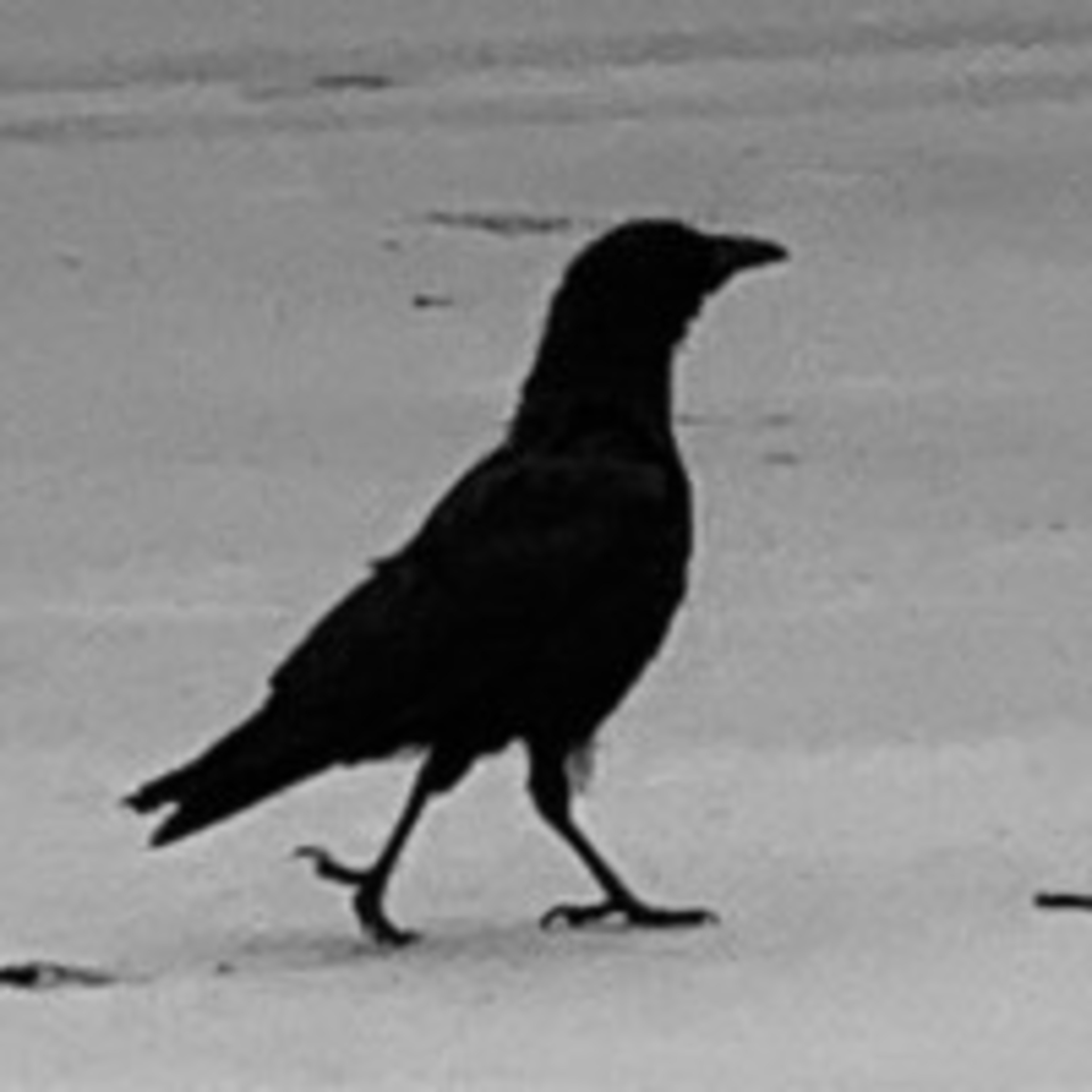 Poem: Codependency Love - LetterPile