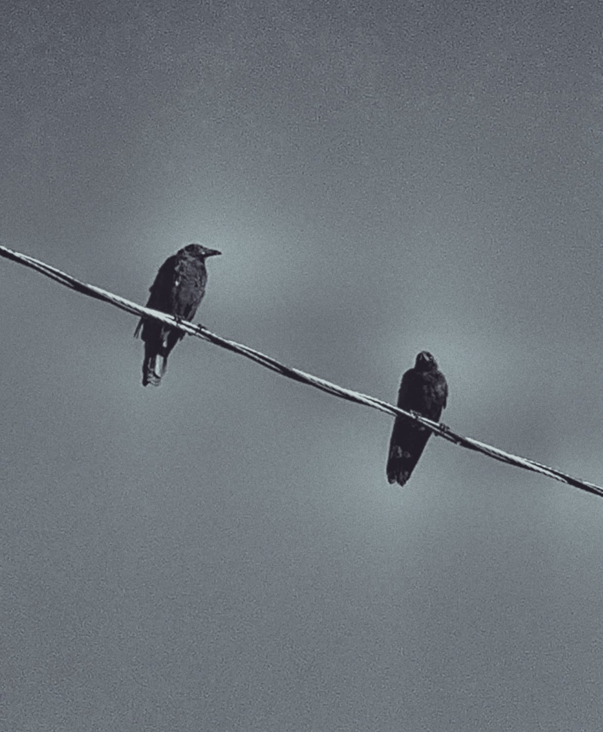 Poem: Codependency Love - LetterPile