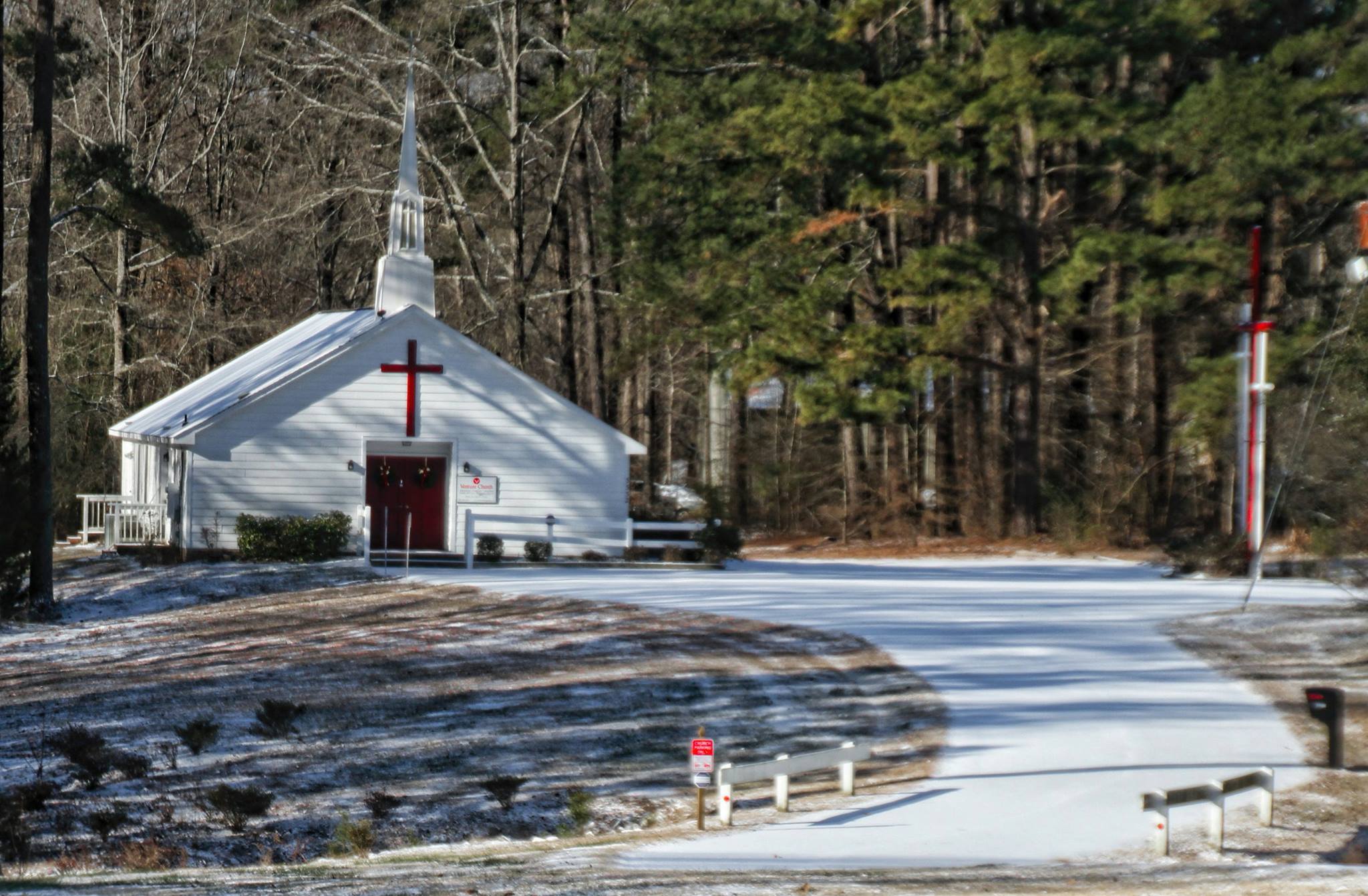 13 Bible Verses About Birds with Explanations and Other Religions ...