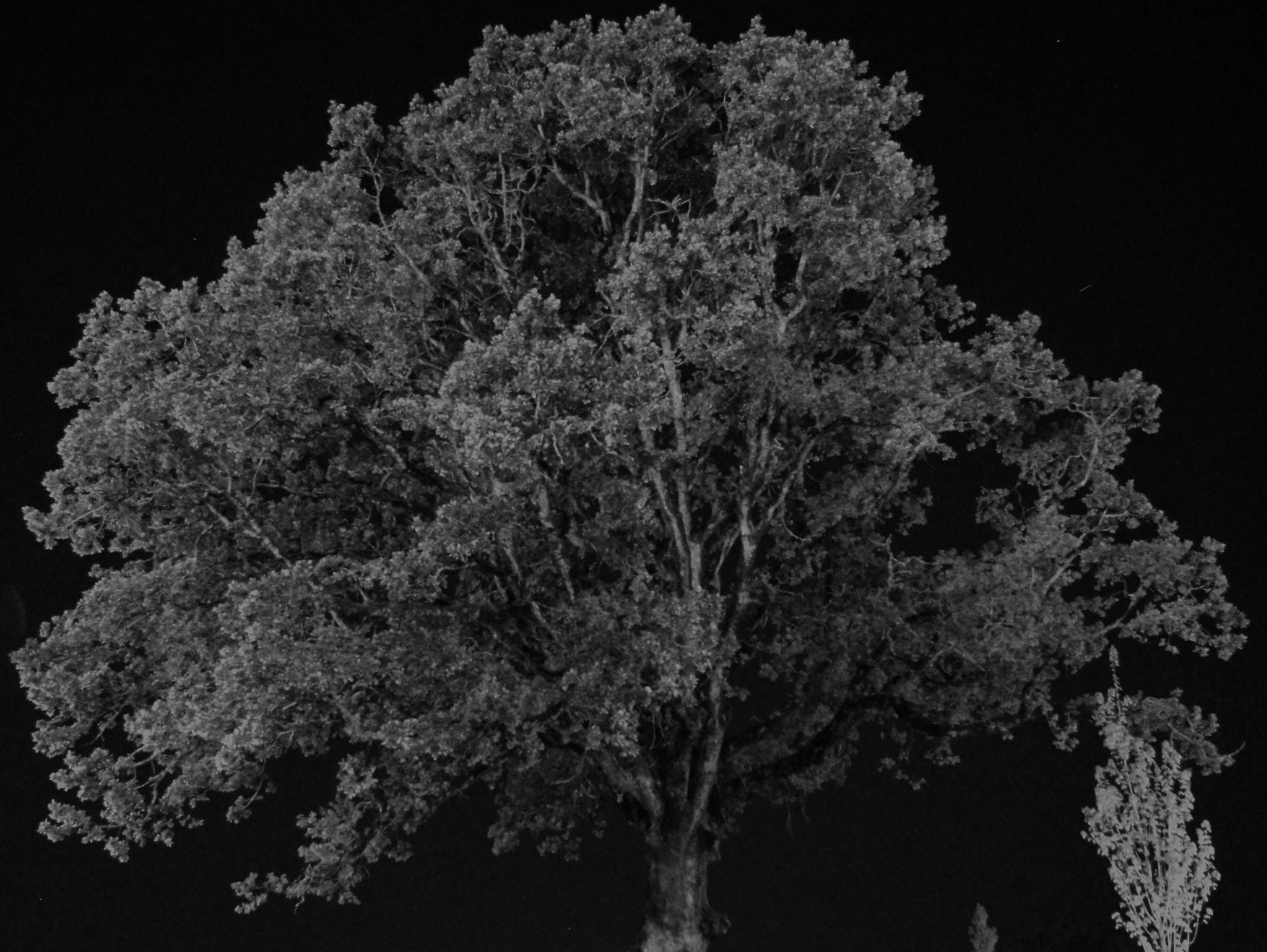 From Realms of Darkness: Horror Flash Fiction by cam - LetterPile