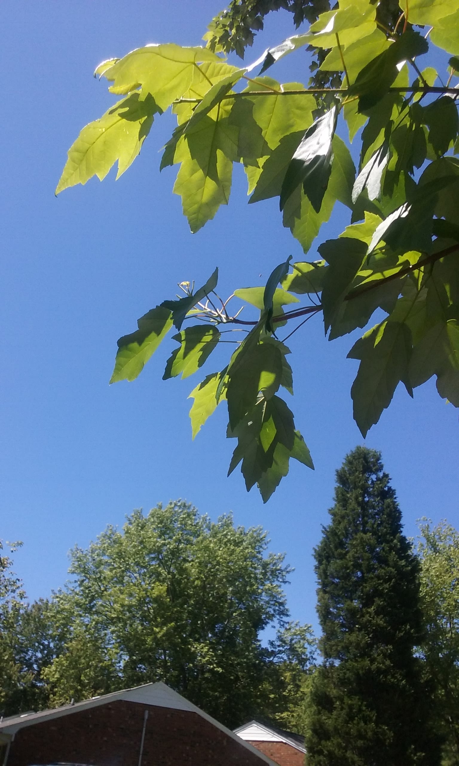 A Brief Compilation of Short Poems - LetterPile