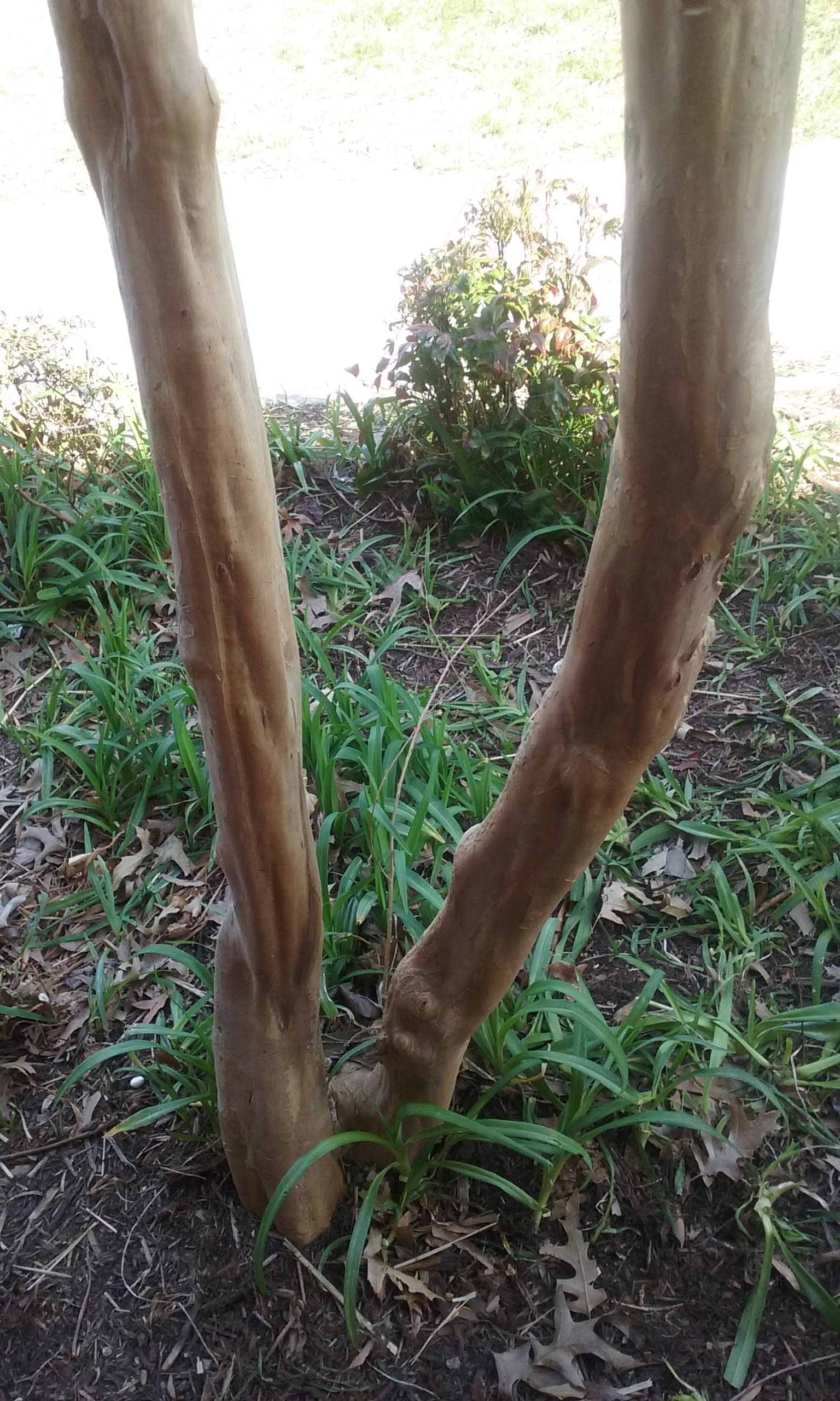 A Brief Compilation of Short Poems - LetterPile