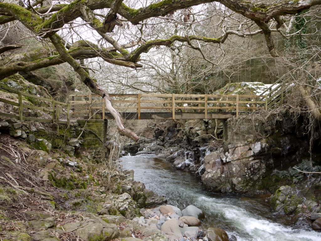 Fractured Fairy Tale: The True Story of The Three Billy Goats Gruff ...