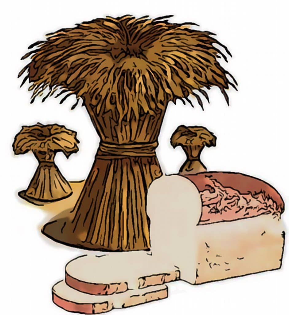 Basic Four Spiritual Food Groups - LetterPile