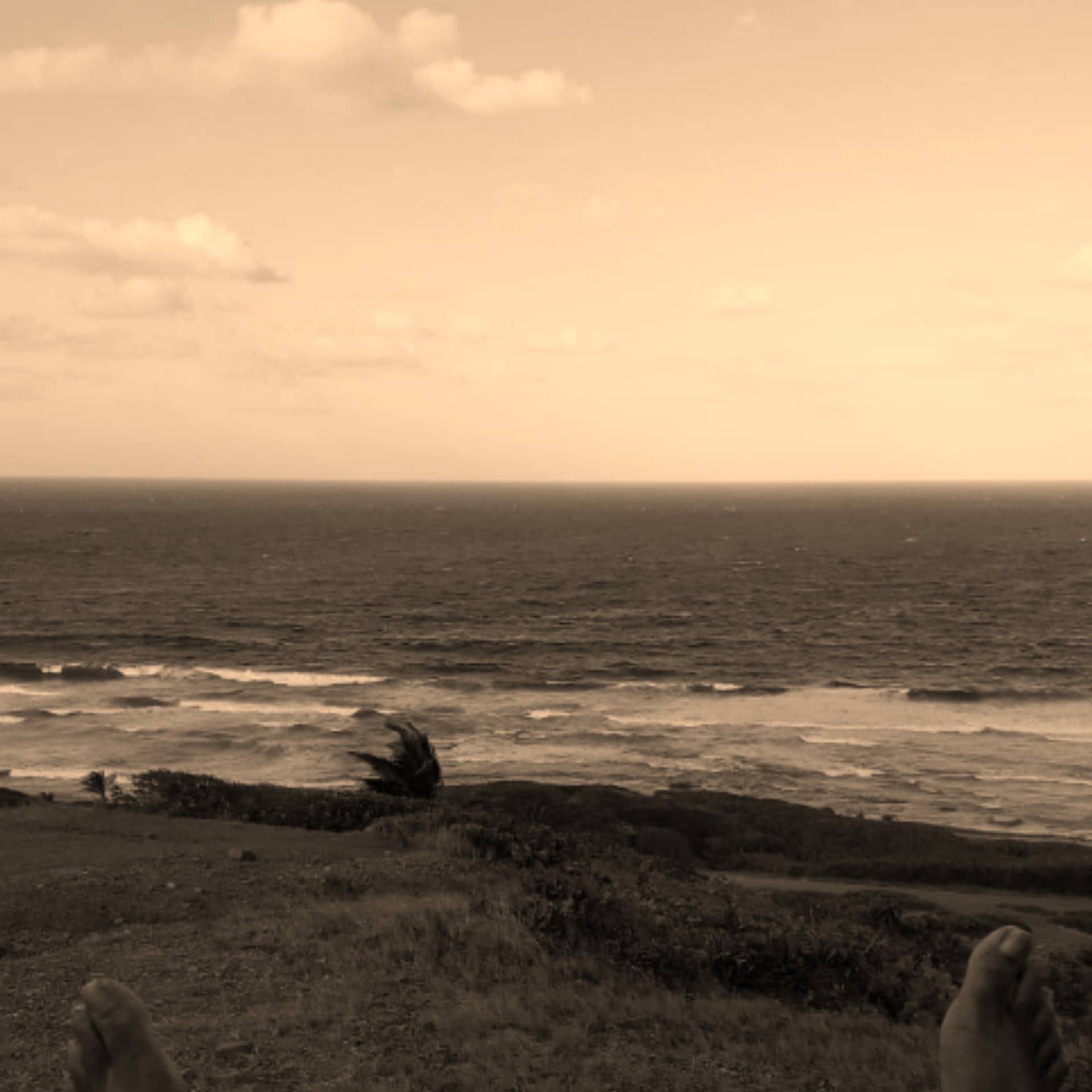 Stand Firm – A Poem - LetterPile
